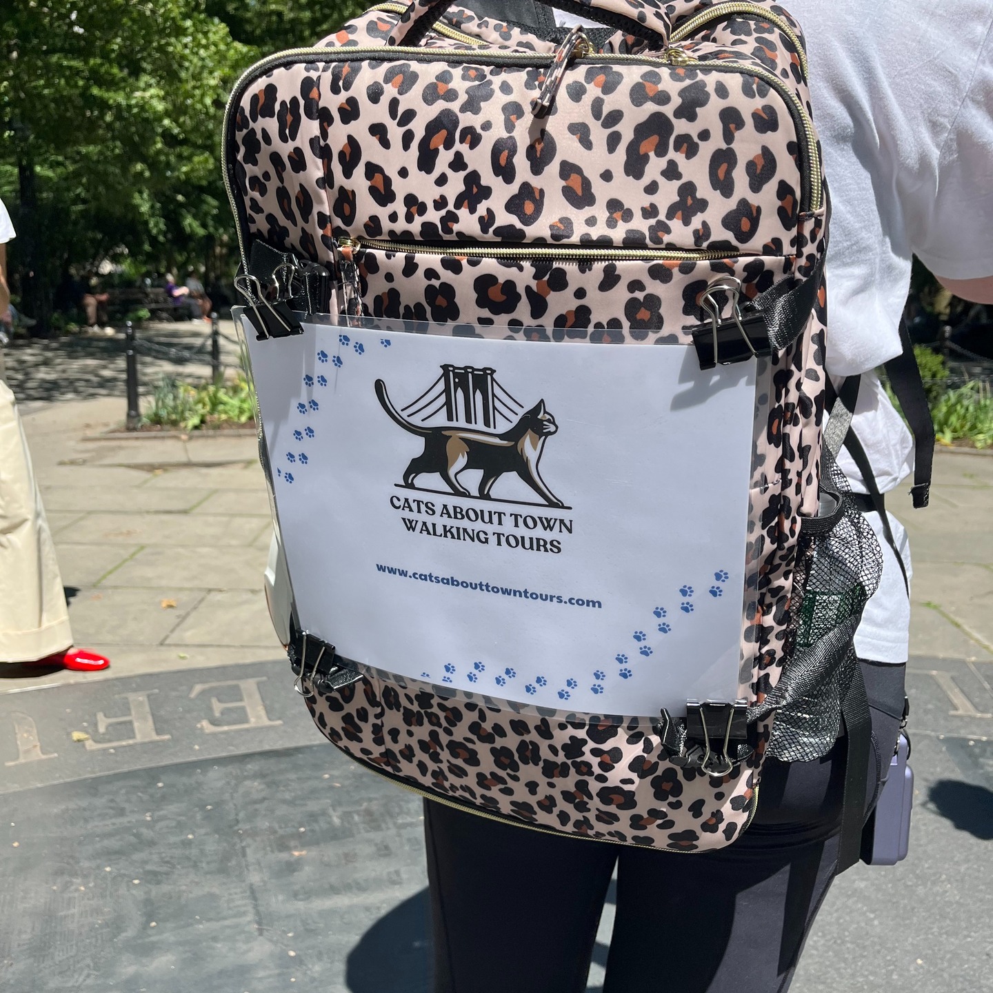 Cats About Town Tours | NYC's First Walking Tour for Cat Lovers